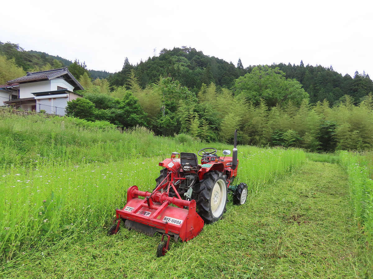 午後雨工作: white-boots-walker